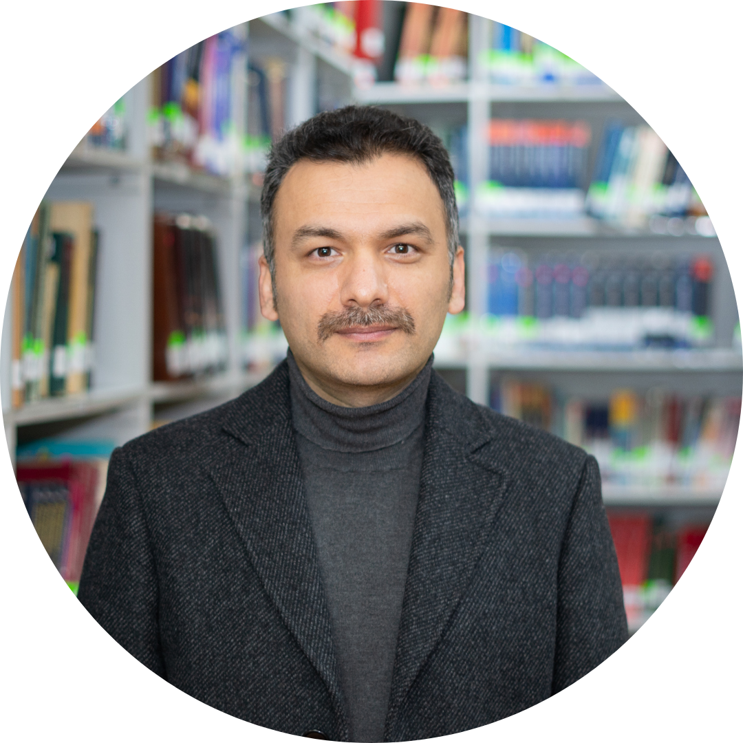 Resumen Profesional: Dr. Masoud Behzad - Departamento de Ingeniería ...